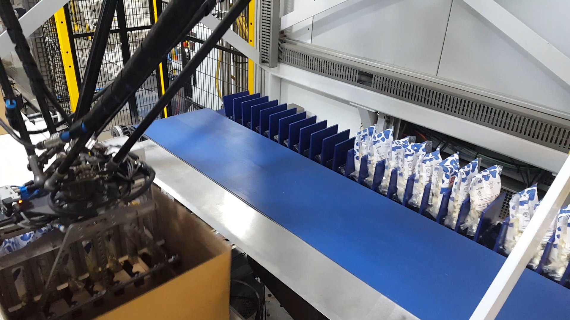 Modular robot cell packaging solution for stand-up pouches